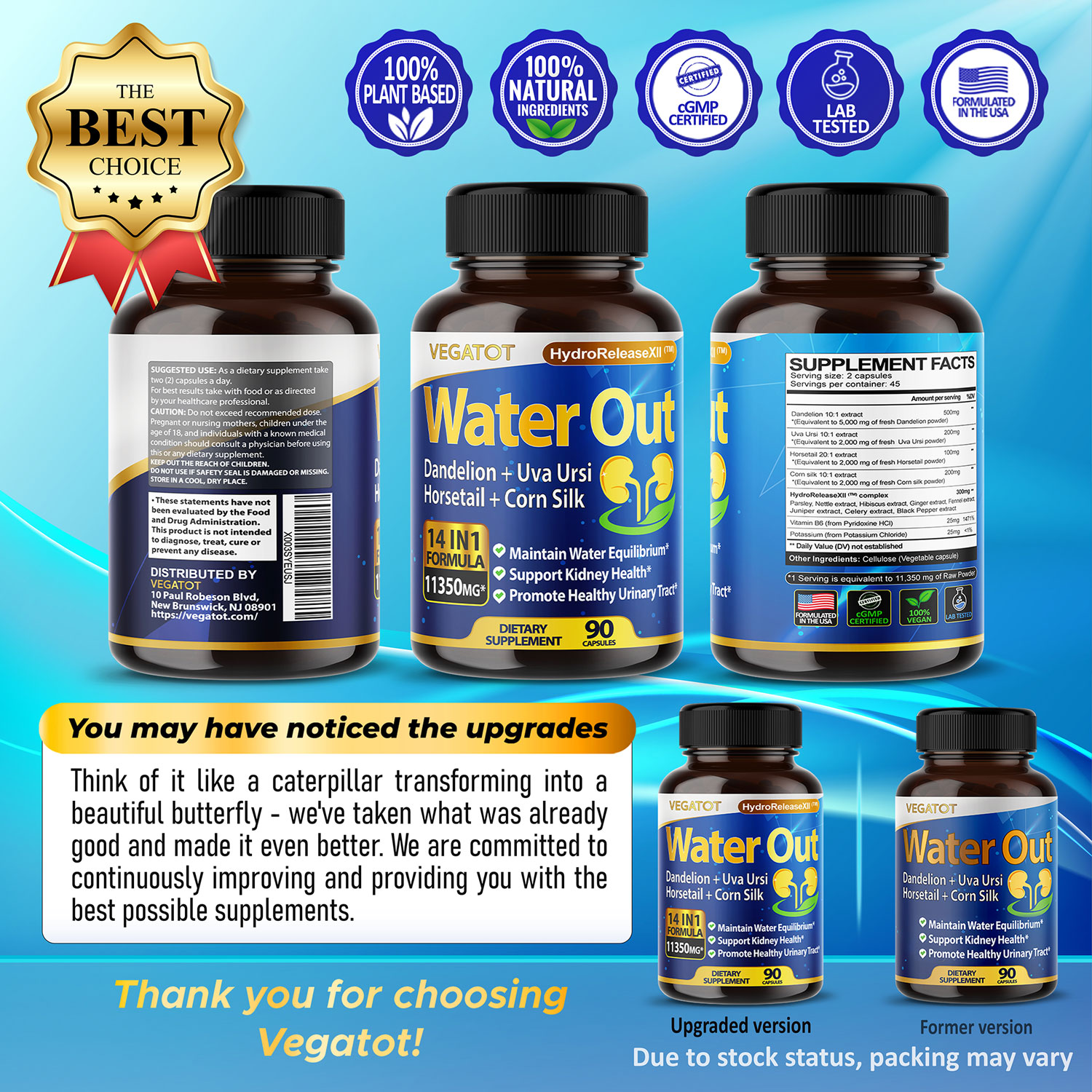 Natural Water Out Supplement 11,350mg with Dandelion, Uva Ursi ...